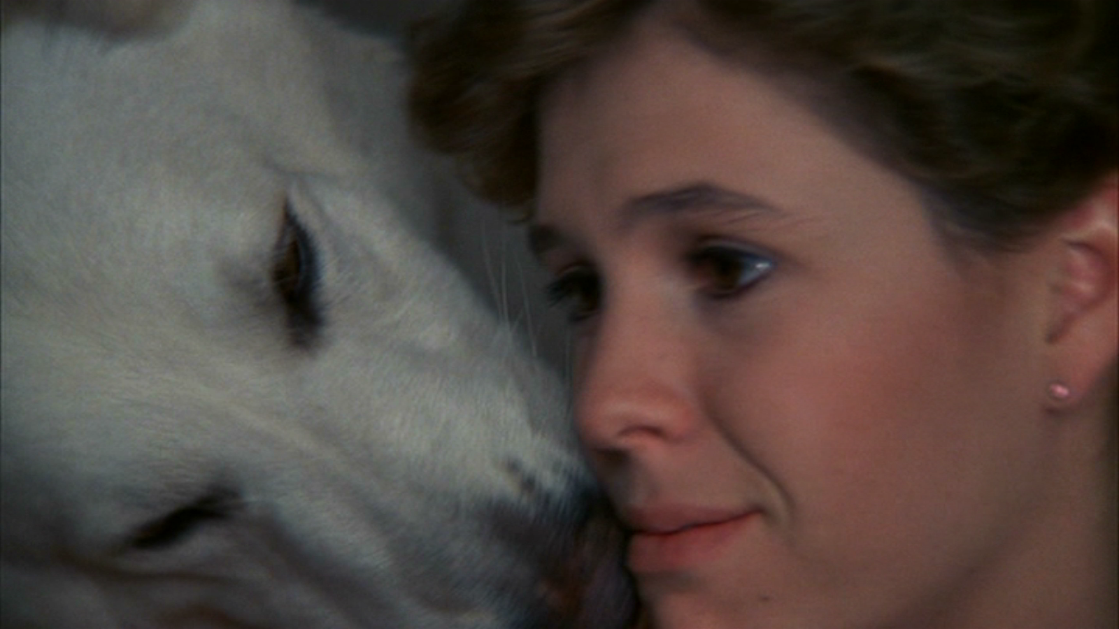 Final Piece: Kristy McNichol’s (Re)Performance of Childhood in Samuel ...