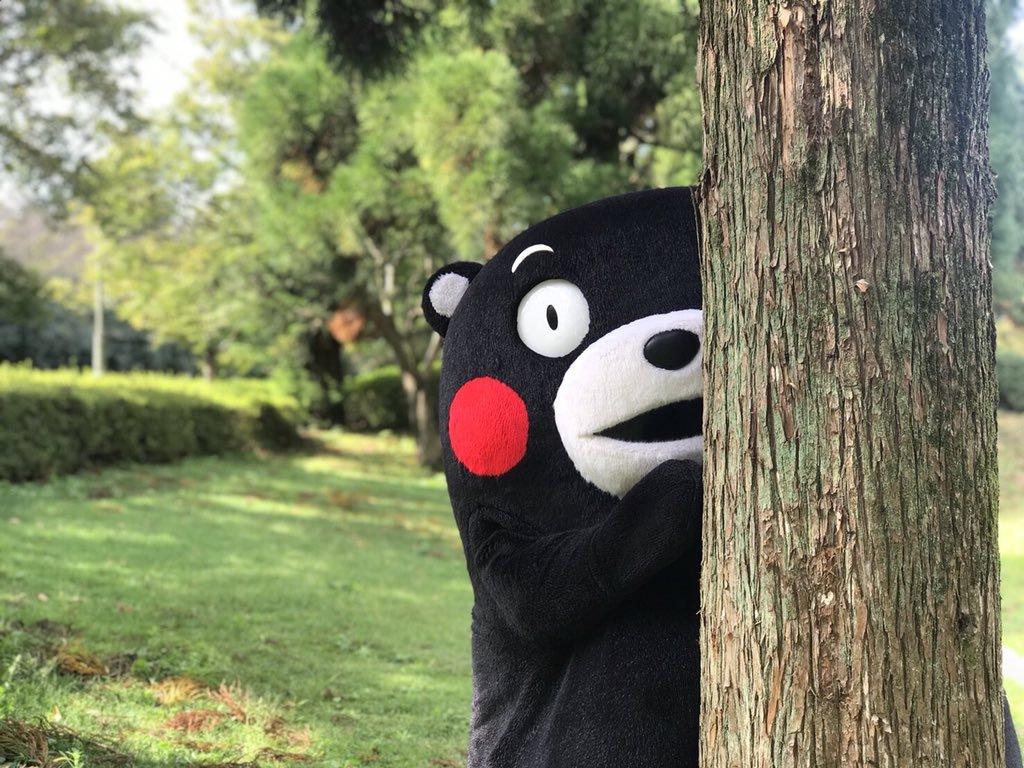 Kumamon as a Rescue Bear Mascot: Mythical Roots and Modern Reach | Response