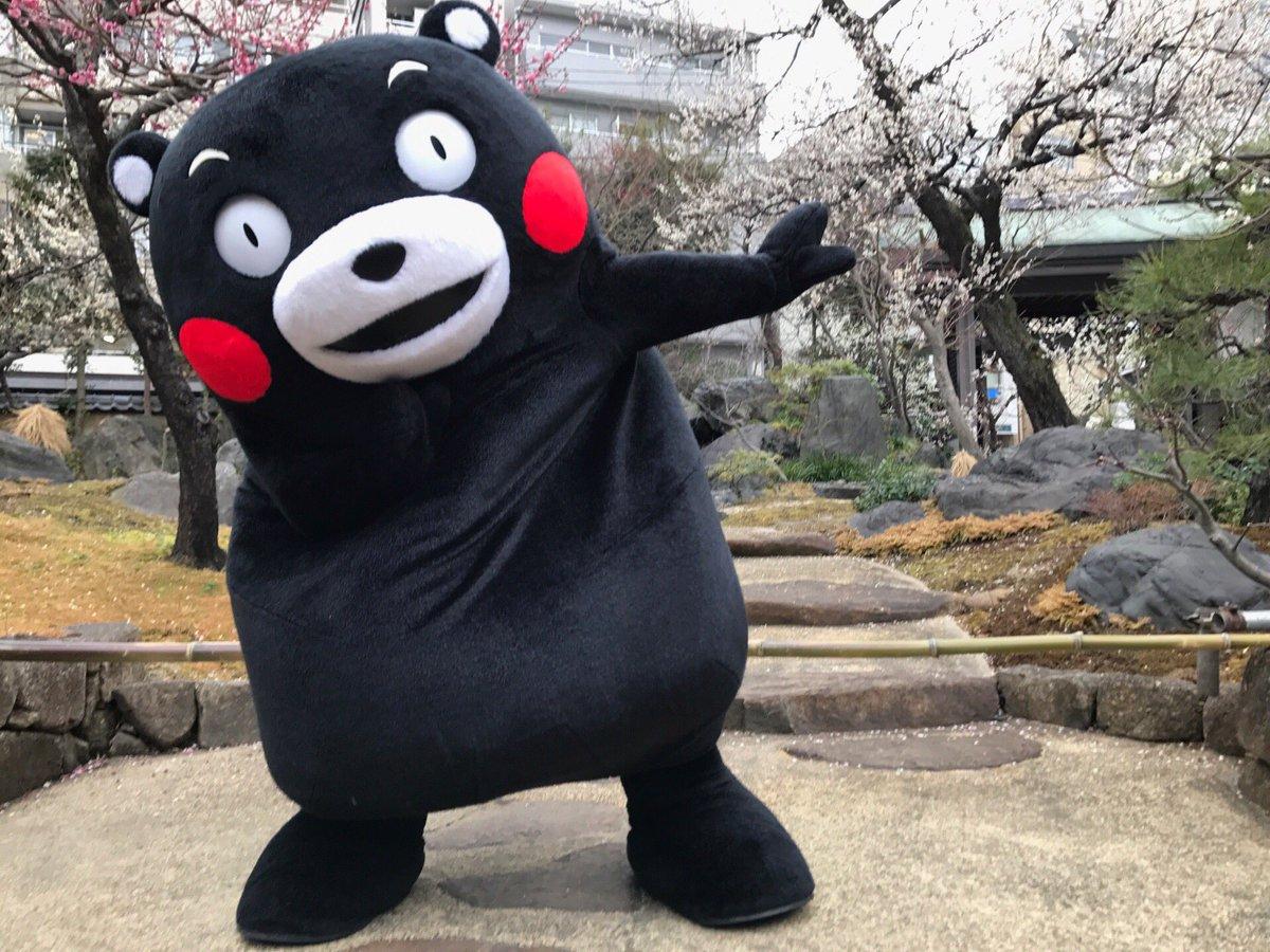 Kumamon as a Rescue Bear Mascot: Mythical Roots and Modern Reach | Response